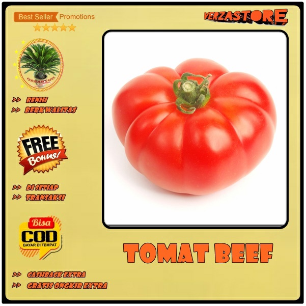 Jual biji/benih/bibit buah tomat beef beefsteak /10 biji | Shopee Indonesia