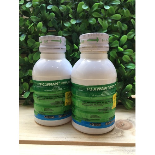Jual Fungisida Fujiwan 400EC - pengendali penyakit pada tanaman pangan ...
