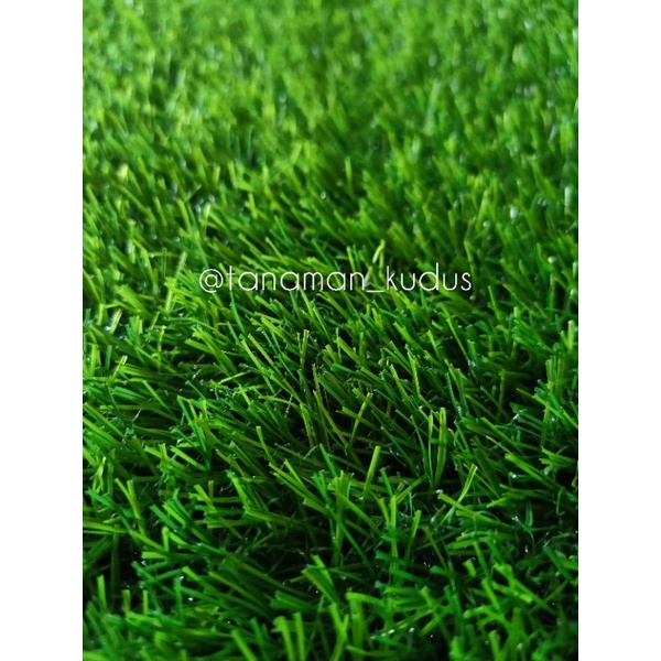 Jual RUMPUT SINTETIS SWISS FULL HIJAU UKURAN 1x1 meter, tebal 2cm/ 20 ...