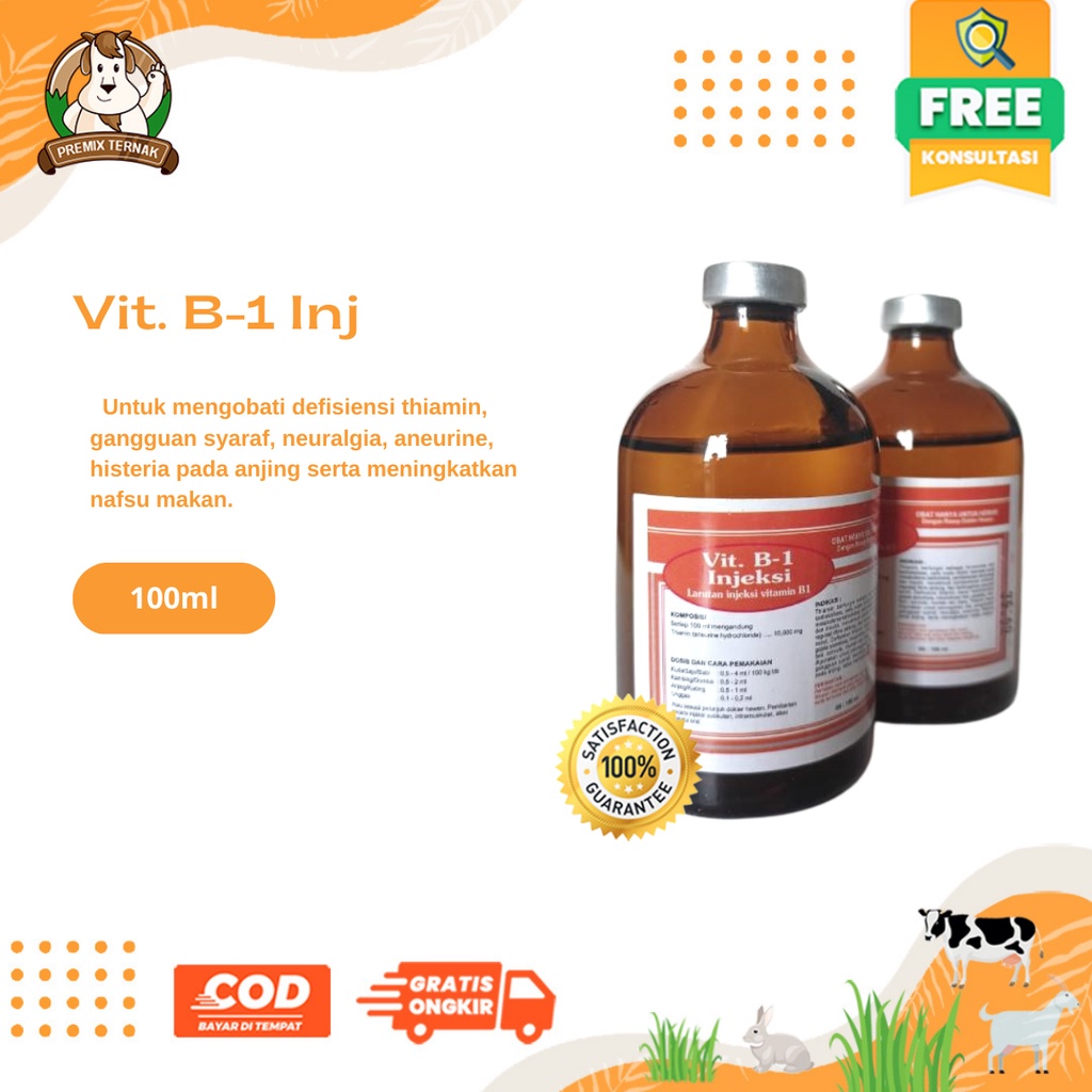 Jual VIT B1 INJ 100ML (OREN) - Vitamin B1 Hewan Ternak Sapi Kambing ...