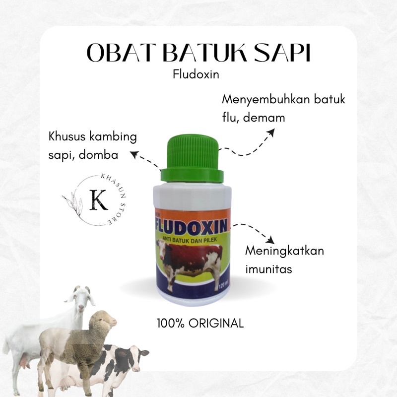 Jual FLUDOXIN Obat Flu Dan Batuk untuk Sapi-Kambing-Kerbau (Hewan ...