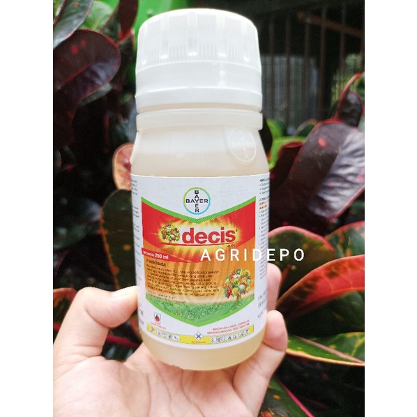 Jual DECIS 25EC 250 ML Insektisida ASLI Hati Hati Harga Murah | Shopee ...