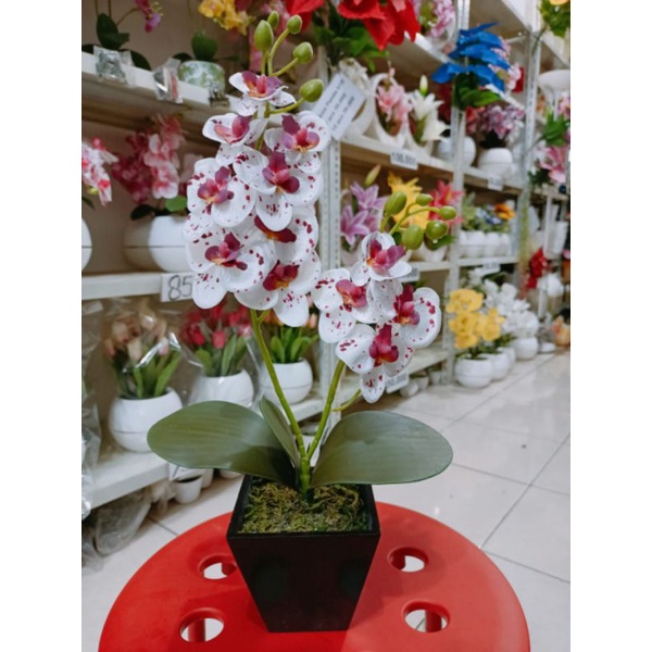 Jual Rangkaian bunga anggrek artificial dengan pot kayu hitam | Shopee ...