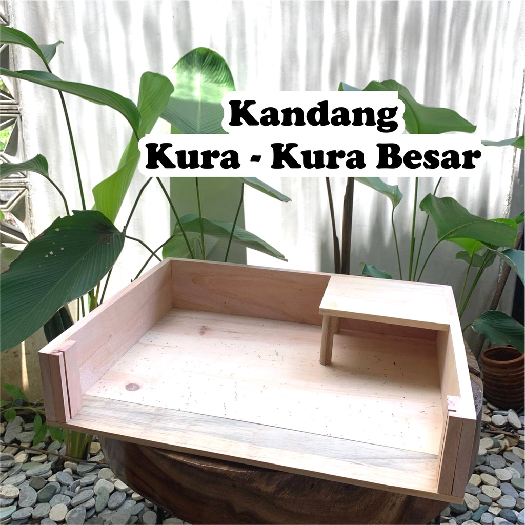 Jual Kandang Kura Kura Besar Kandang Sulcata Kandang Reptil Rumah Hewan ...