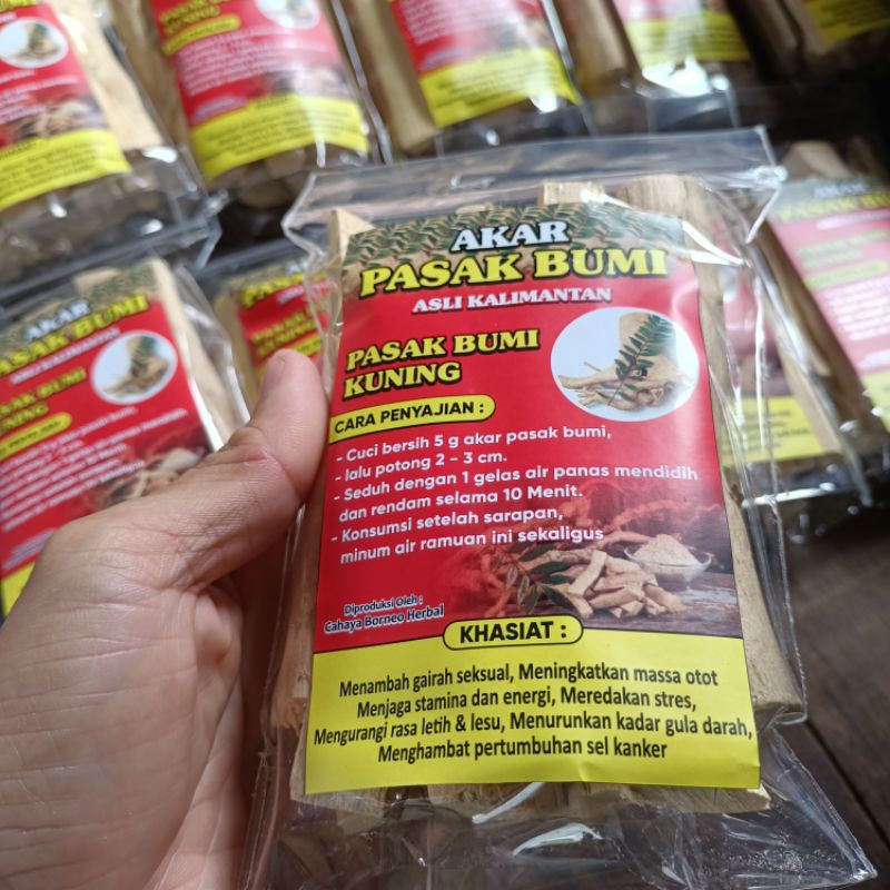 Jual akar pasak bumi tongkat ali kalimantan obat tradisional asli suku ...