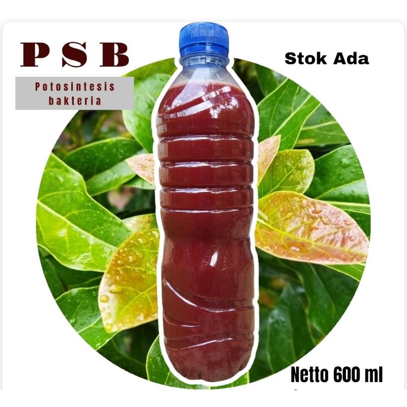 Jual Biang PSB Fotosintesis/Pupuk PSB/Pupuk Pertumbuhan/Pupuk Organik ...