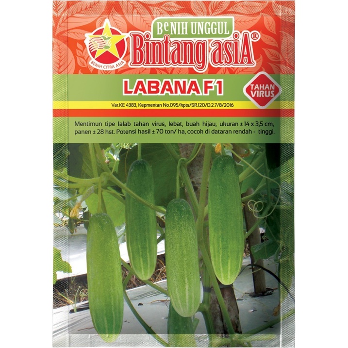 Jual Benih Mentimun Timun LABANA F1 20 Gram Cap Bintang Asia Tahan ...