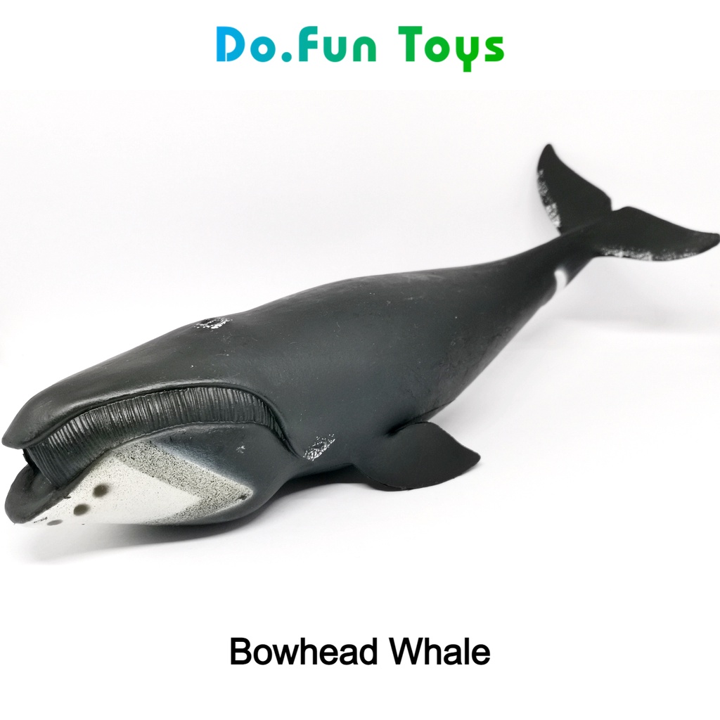 Jual Animal Figurine | BOWHEAD WHALE / Mainan Miniatur Ikan Paus Kelapa ...