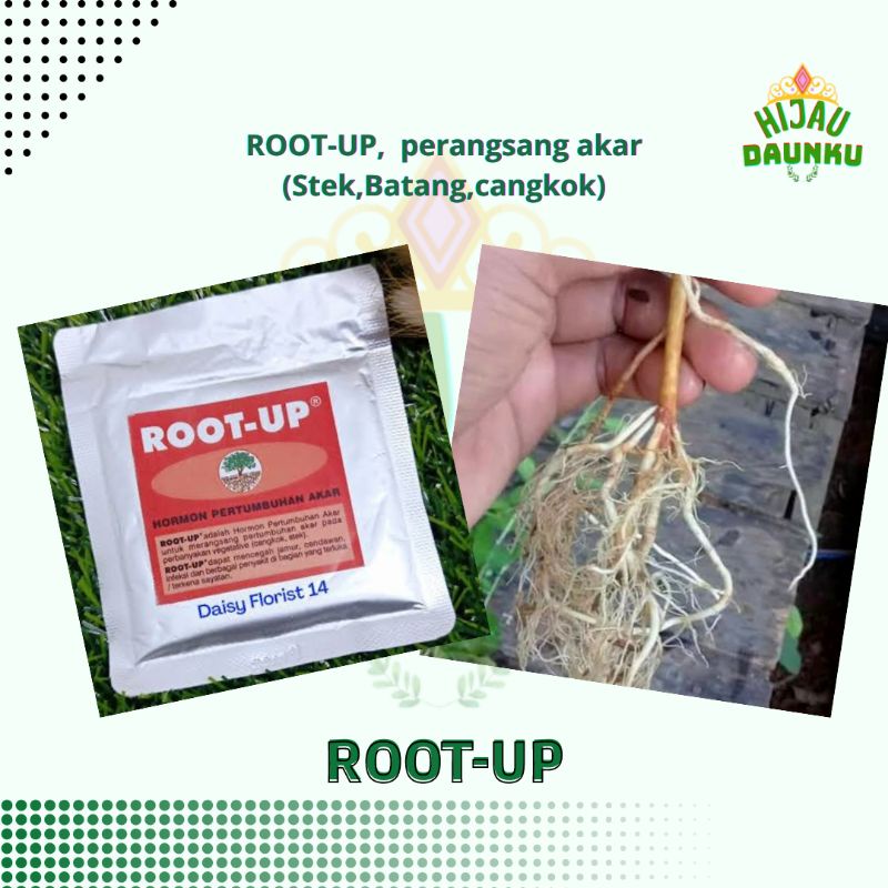 Jual ROOT-UP Mempercepat Perangsang Pertumbuhan Akar Stek Cutting Atau ...