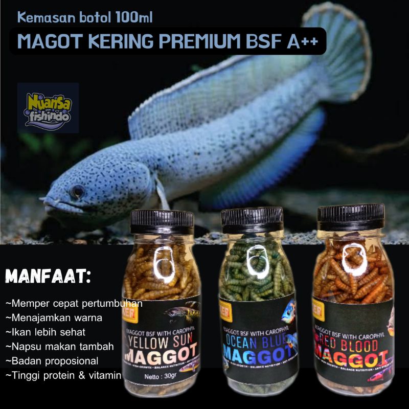 Jual MAGOT BSF KERING GRADE AA+ PAKAN CHANNA| ORIGINAL ANGKER | KEMASAN ...