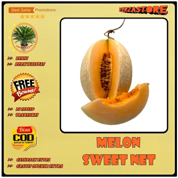 Jual biji/benih/bibit buah melon hidroponik sweet net /5 biji | Shopee ...