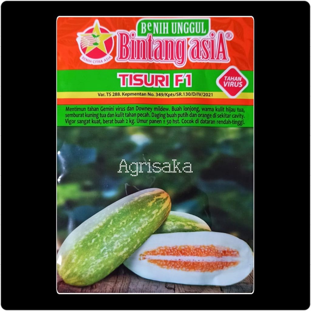 Jual Benih Timun Suri TISURI F1 10 Gram - Bintang asiA | Shopee Indonesia