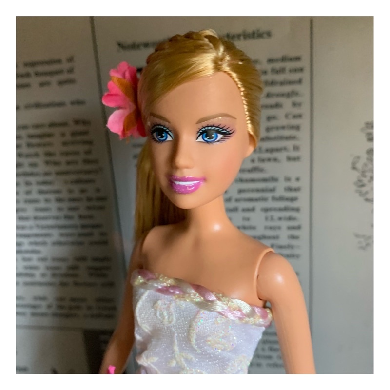 Jual Barbie as Island Princess, Rosella adventure island dress preloved ...