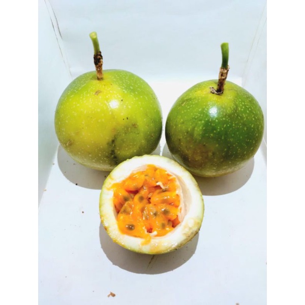 Jual Buah markisa segar 1kg | Shopee Indonesia