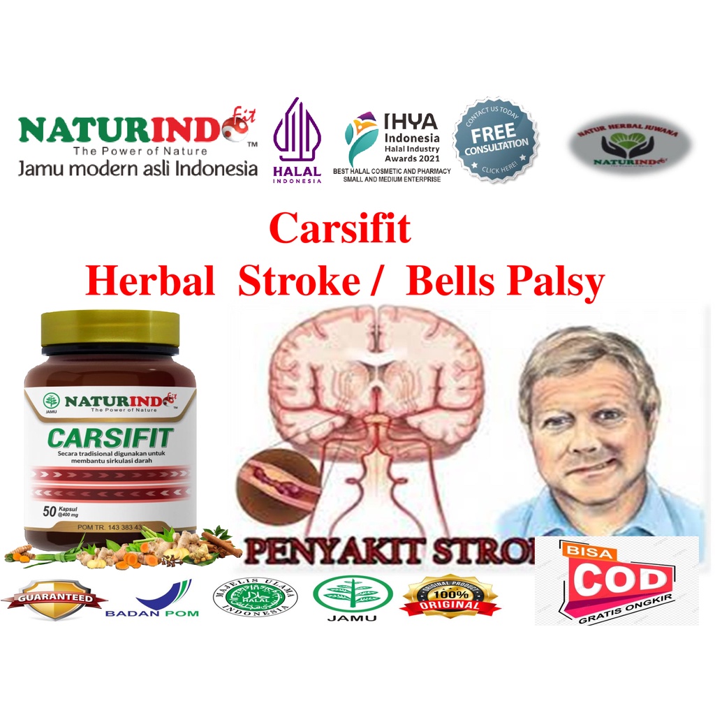 Jual Obat Herbal stroke struk muka miring badan mati separo lumpuh ...
