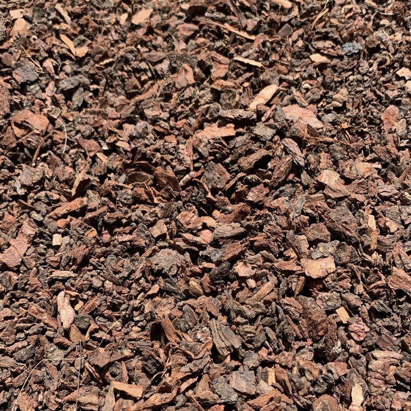 Jual Soft Cork Granule | Cork Pine Bark | Substrate Bedding | Tekstur ...