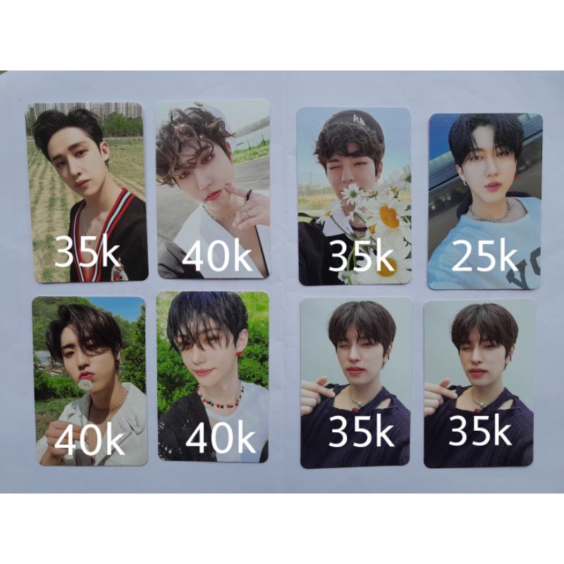 Jual [OFFICIAL] STRAY KIDS MAXIDENT ALBUM PHOTO CARD GO VERSION T-CRUSH ...