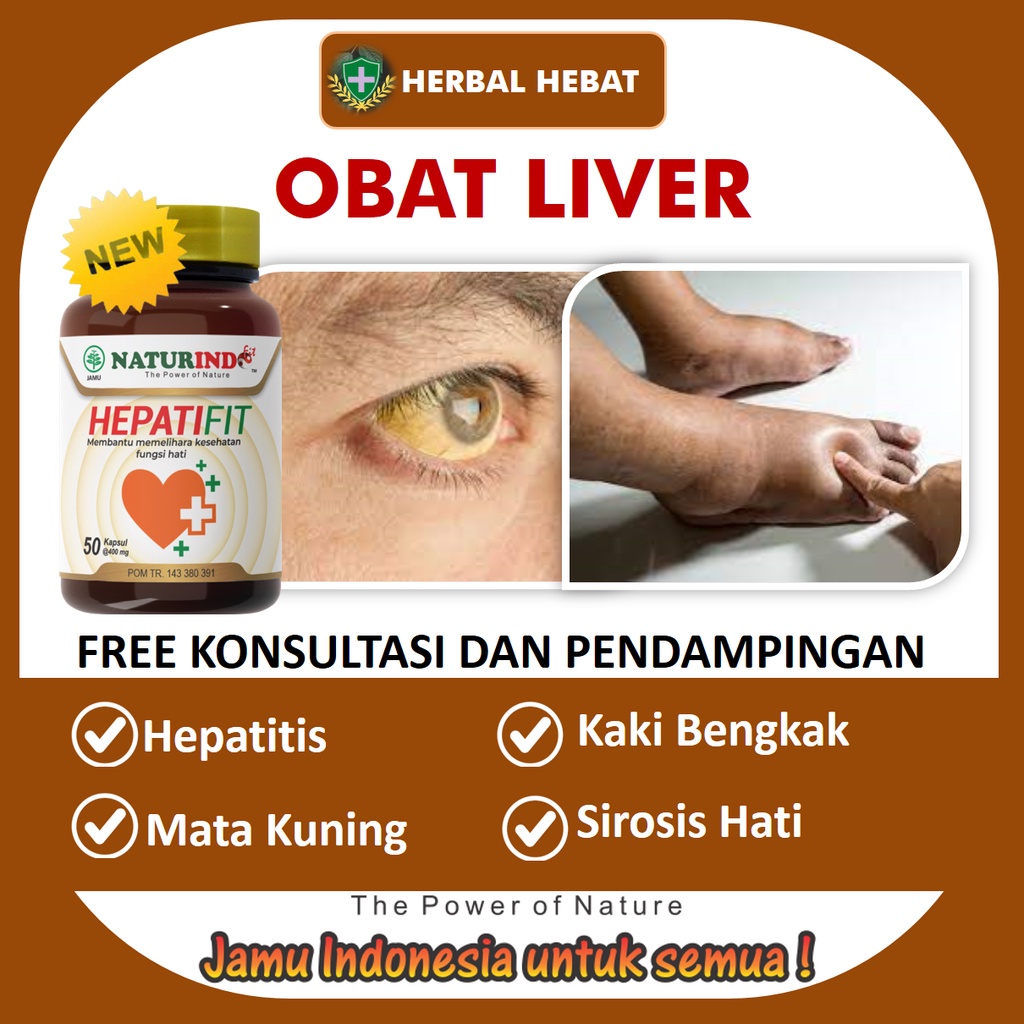 Jual Obat Liver Hepatitis Kesehatan Hati Sakit Kuning Mata dan Kulit Hepatifit Isi 50 Kapsul ...