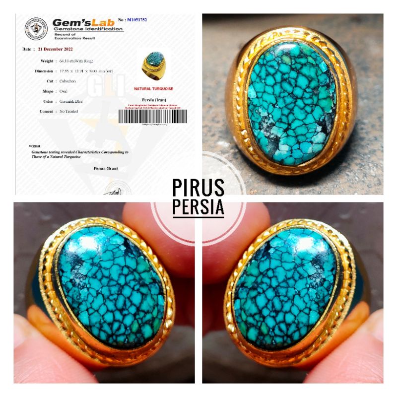 Jual PIRUS IJO DAUN CEPLOK KURO | Shopee Indonesia