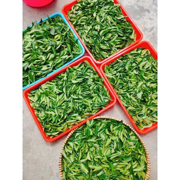 Jual Daun Kari segar / Salam Koja / Koro Belek (1kg) | Shopee Indonesia