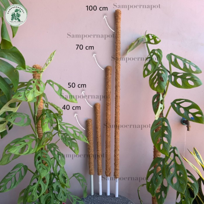 Jual [Taman] Turus Rambatan Peyangga Tanaman Rambat Panjang 50Cm ...