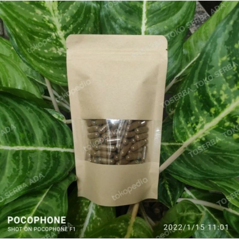 Jual 120 kapsul Foshan Resep Herbal Menutrisi Menyehatkan Daun Paru ...