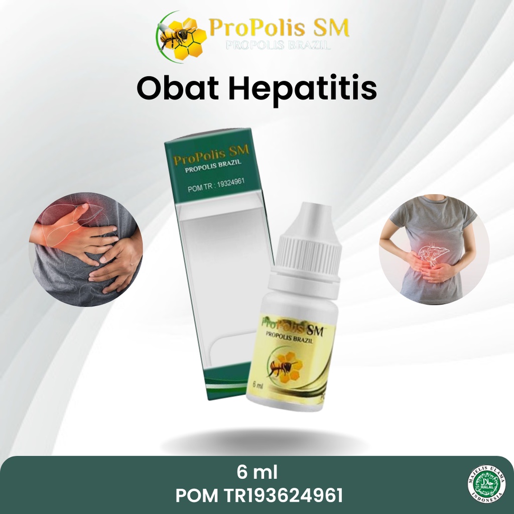 Jual Obat Hepatitis Sirosis Hati Liver Perut Bengkak Perlemakan Pada ...
