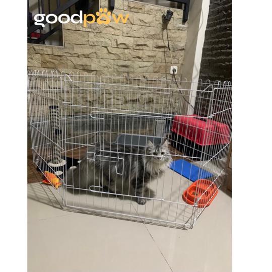 Jual Pagar Kucing Anjing 6 Lembar Size XXL 60 x 60 Satu Pintu Depan ...