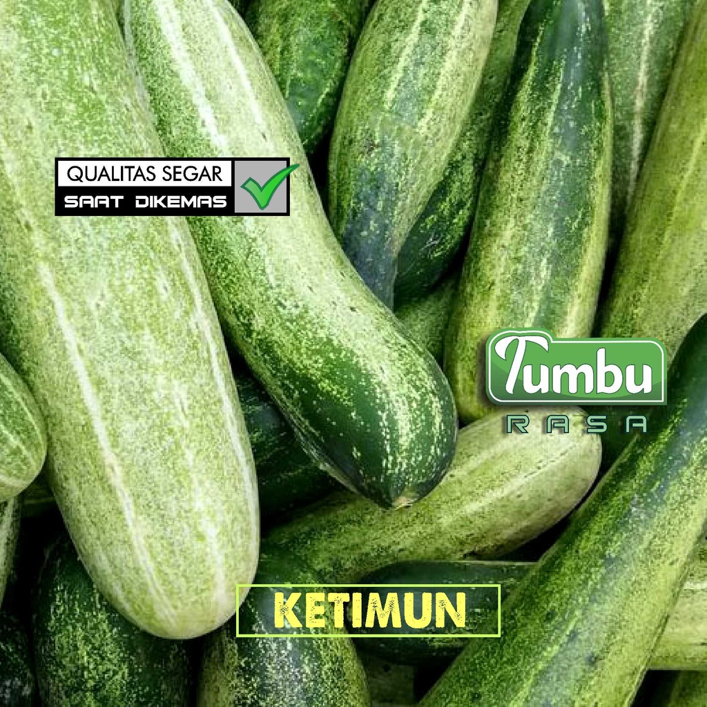Jual TIMUN / KETIMUN / BONTENG 1 KG [500g, 2kg] - sayuran buah segar ...