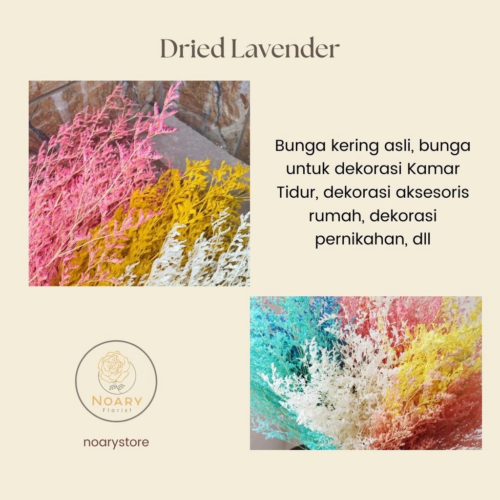 Jual DRIED LAVENDER FLOWER / Bunga Kering | Shopee Indonesia