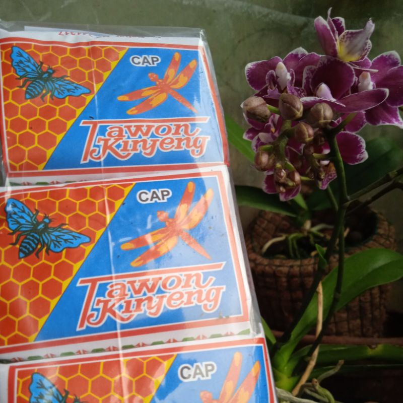 Jual teh tawon kinjeng biru | Shopee Indonesia