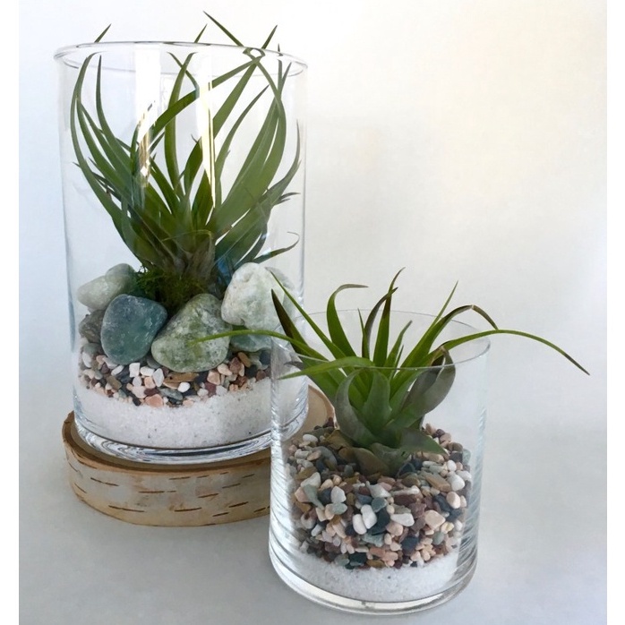 Jual VAS KACA POT TERARIUM / VAS BUNGA KACA TABUNG SILINDER / VAS ...