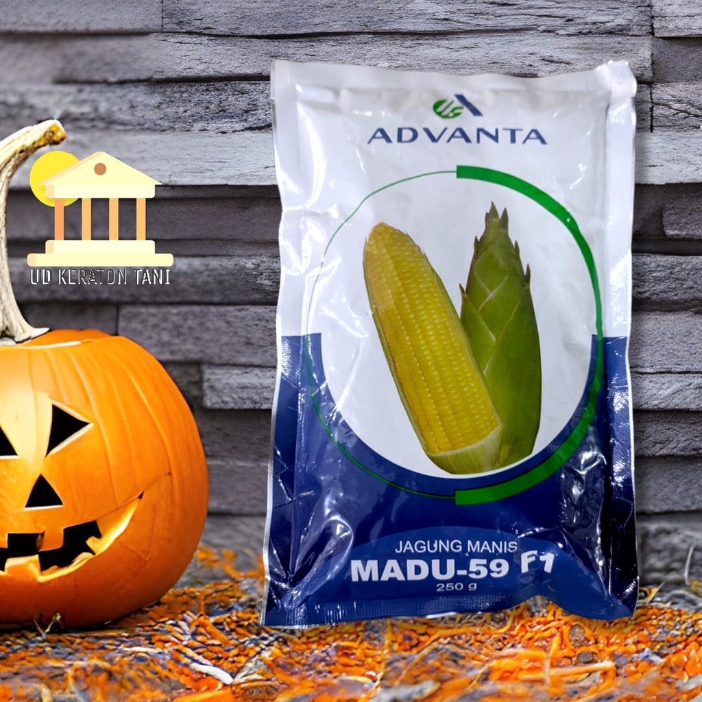 Jual Benih Jagung Manis MADU 59 F1 250g Tahan Penyakit Busuk Batang ...