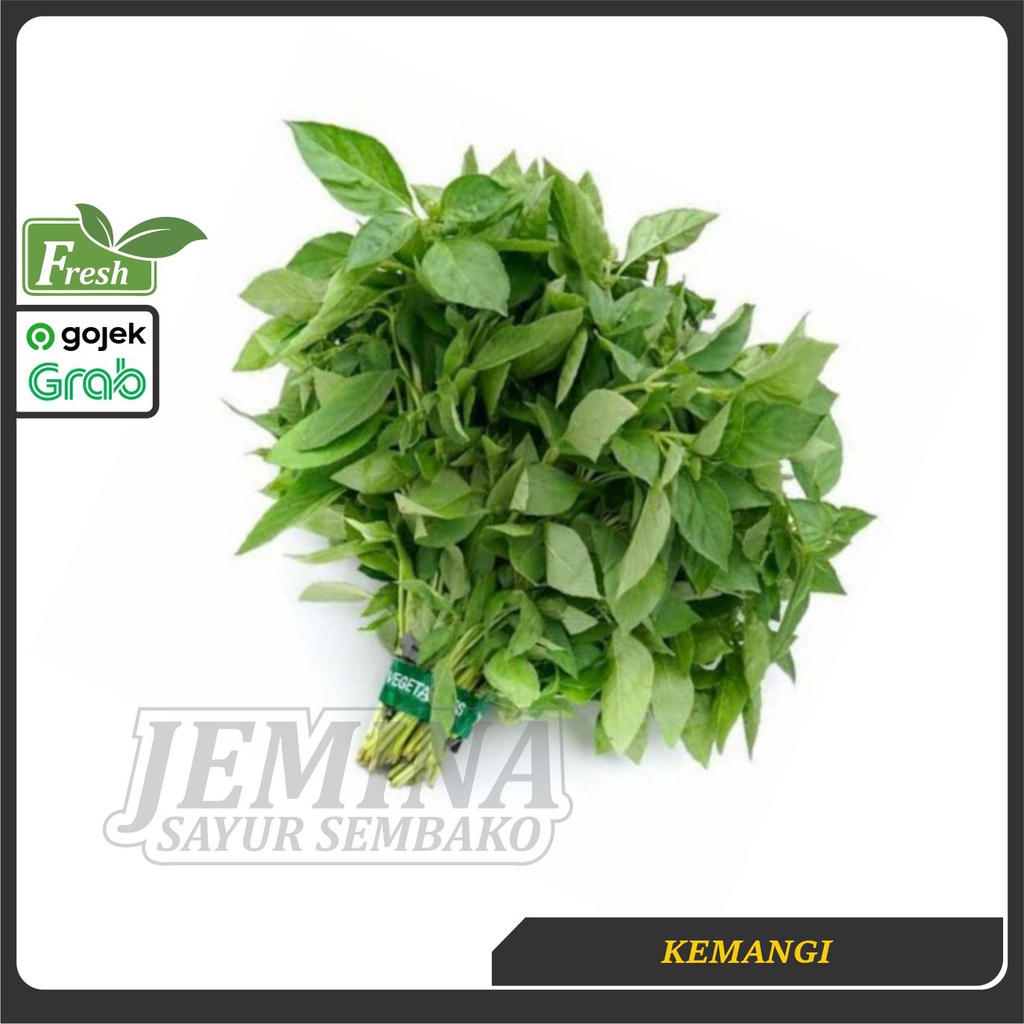Jual Kemangi 1 Ikat - Sayur Jogja | Shopee Indonesia