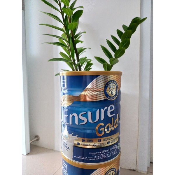 Jual Ensure Gold Vanilla 850gr (EXP : Juni 2024) | Shopee Indonesia