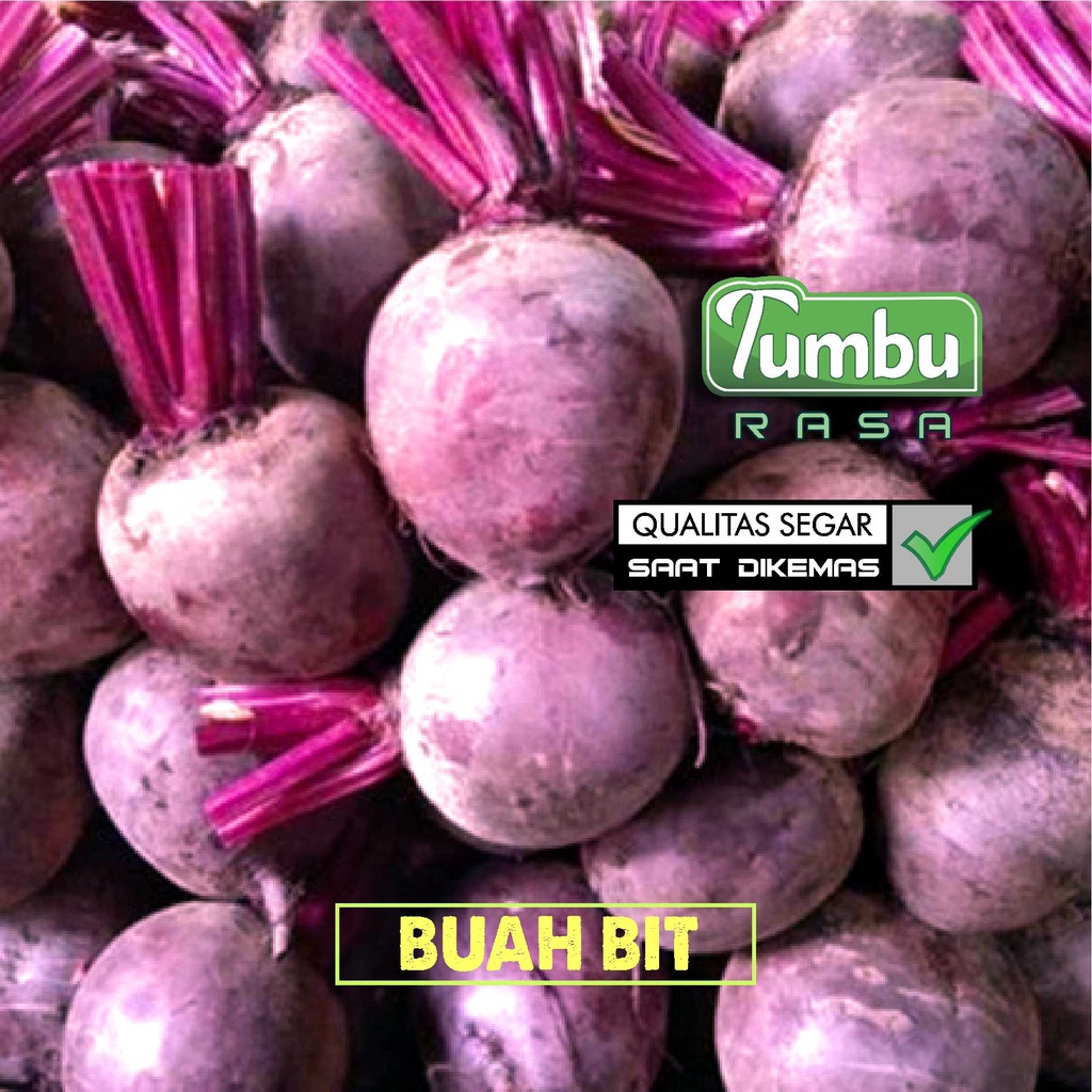 Jual BUAH BIT segar 1 KG [500g] - buah umbi segar Beet | Shopee Indonesia