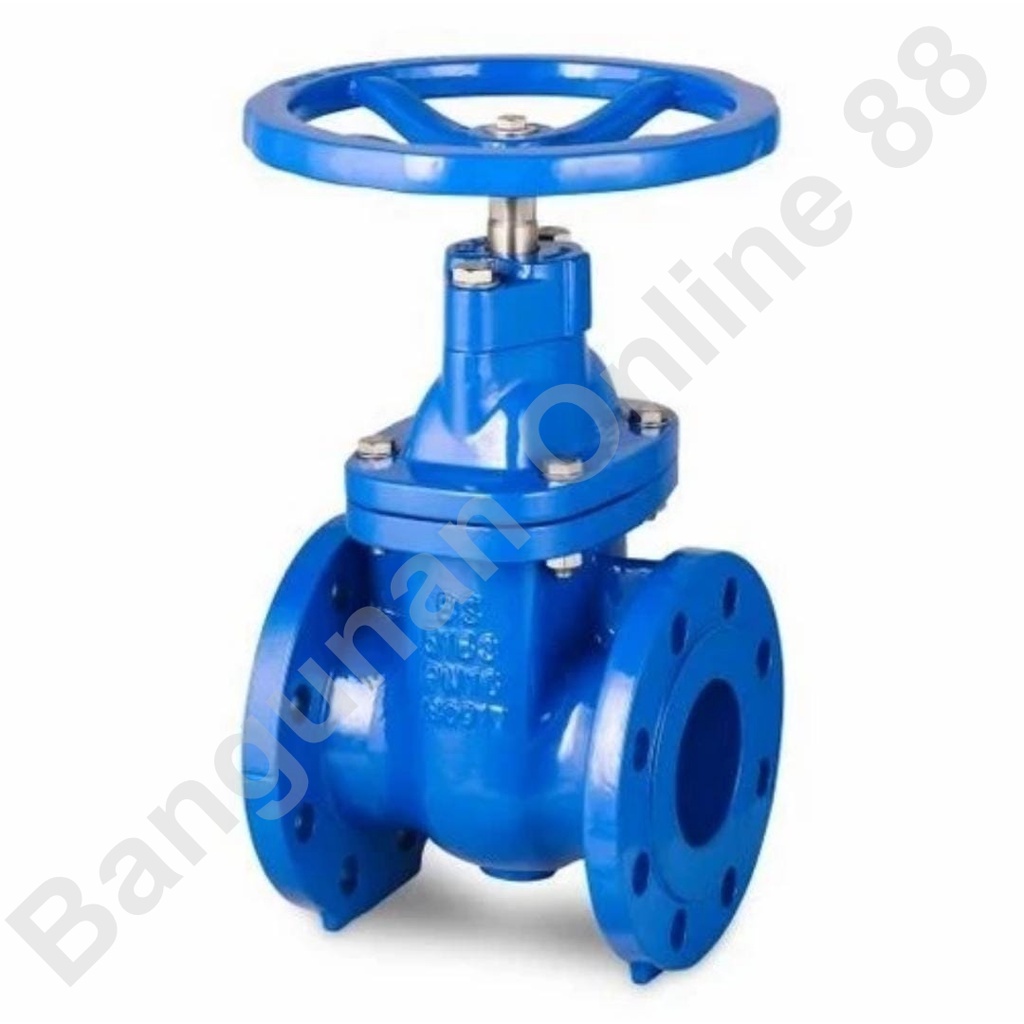 Jual Gate Valve 2" inch Flange Jis 10K Cast Iron | Shopee Indonesia