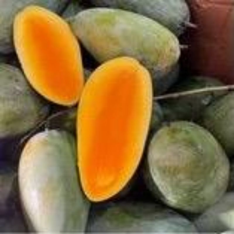 Jual Buah mangga Kiojay / Thailand tanpa pestisida | Shopee Indonesia