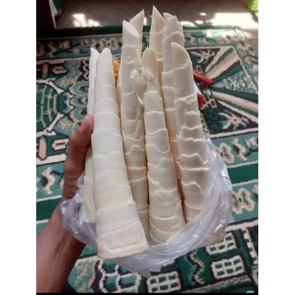Jual rebung bambu sayur rebung bambu muda1kilo | Shopee Indonesia