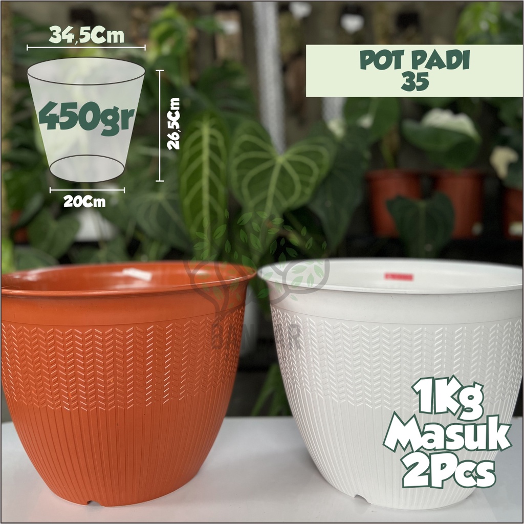 Jual Pot Padi 35 pot bunga tanman hias aesthetic bibit taman pot motif ...