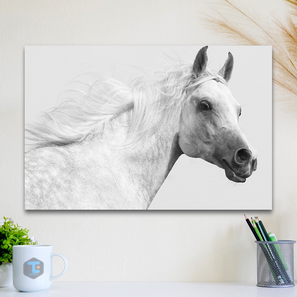 Jual Poster Gambar Hewan Kuda Hiasan Dinding Wall Decor Pajangan Horse ...