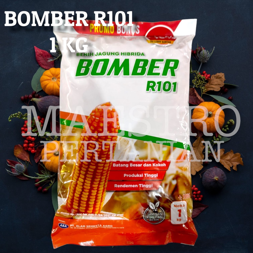 Jual Benih Jagung BOMBER R101 isi 1kg dr PT Alam Semesta Agro | Shopee Indonesia