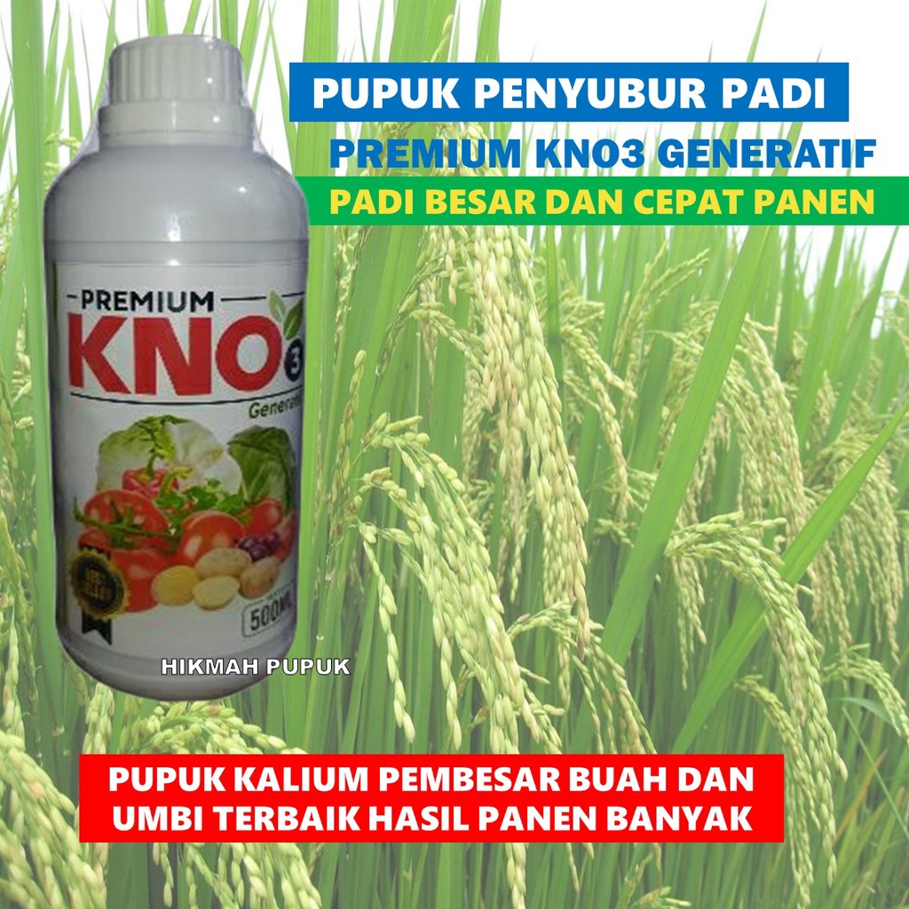 Jual (Rekomended)Pupuk KNO3 PREMIUM untuk Padi Agar Berbobot dan Cepat Besar, Pupuk Saat Masa ...