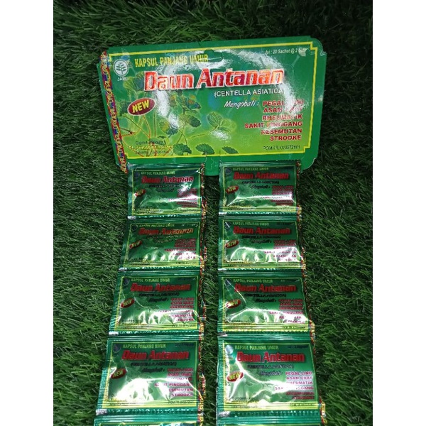Jual KAPSUL DAUN ANTANAN ORIGINAL HERBAL BERKHASIAT | Shopee Indonesia