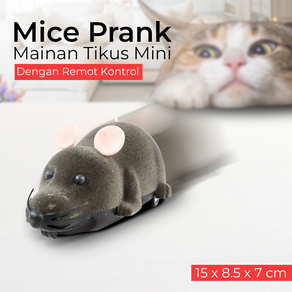 Jual Prank Mainan Tikus Mini Dengan Remot Kontrol - ST-222 - Gray ...