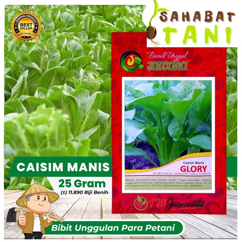 Jual 25 Gram Benih Sawi Caisim Manis Glory Dari Jawara | Shopee Indonesia