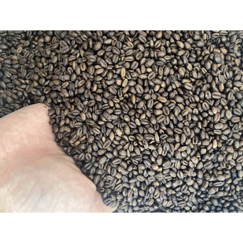 Jual BIJI GANDUM UTUH 1KG SUDAH OVEN | Shopee Indonesia