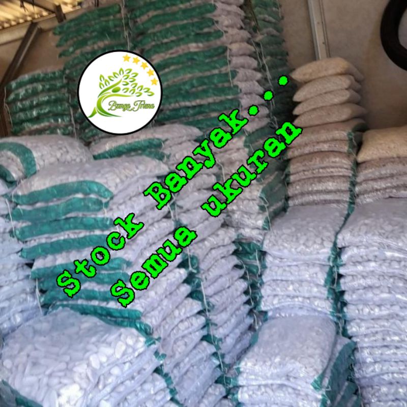 Jual BATU TAMAN/BATU KORAL/ BATU KUPANG/BATU HIAS TANAMAN/BATU KORAL ...