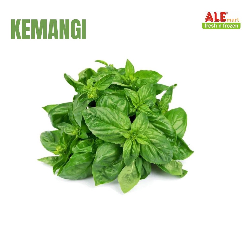 Jual Daun kemangi fresh 1 ikat, daun kemangi segar, kemangi fresh ...