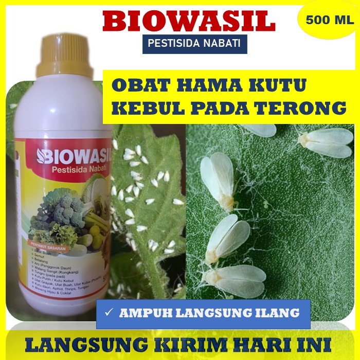 Jual obat hama kutu kebul paling ampuh - BIOWASIL 500ML - Obat anti ...